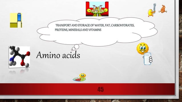Amino acids | PPTX | Chemistry | Science