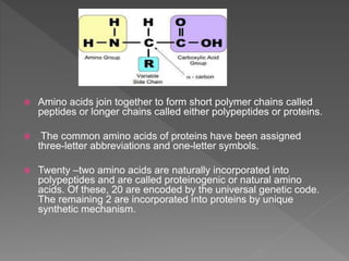 Amino acids | PPTX