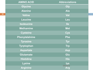 Amino Acids And Abbreviations
