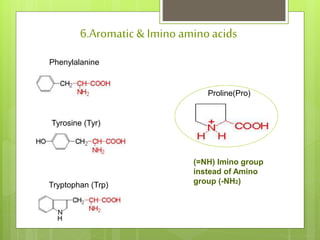 Amino acids- the building blocks of proteins | PPTX