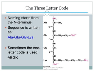 Amino acids | PPT