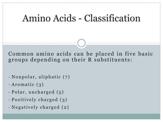 Amino acids | PPT