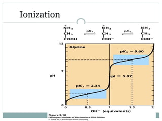 Amino acids | PPT