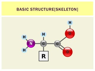 classification of Amino acids | PPTX
