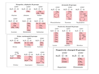 classification of Amino acids | PPTX
