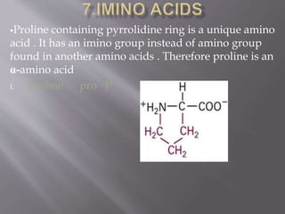Amino acids | PPTX