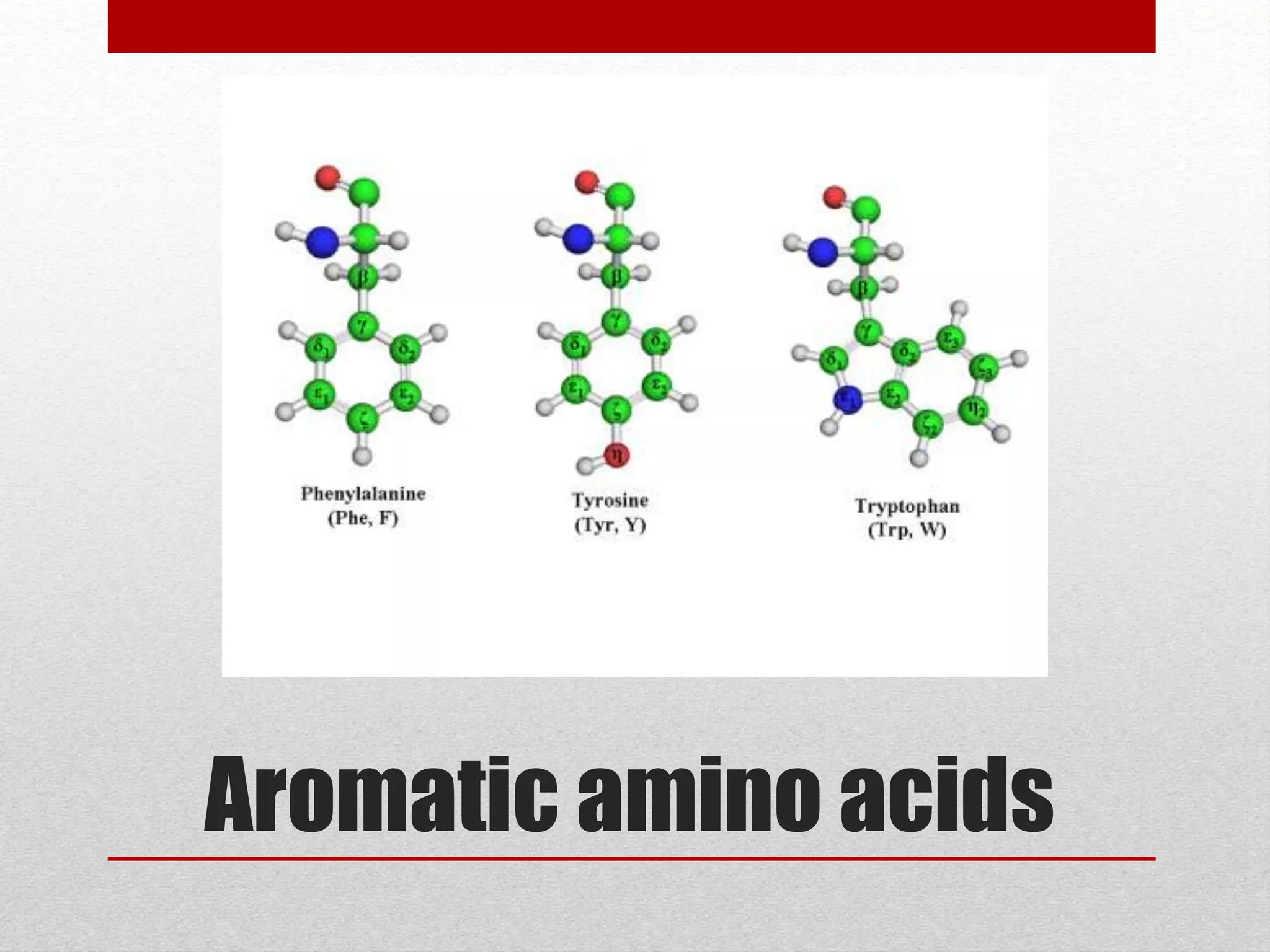 Amino acids | PPT