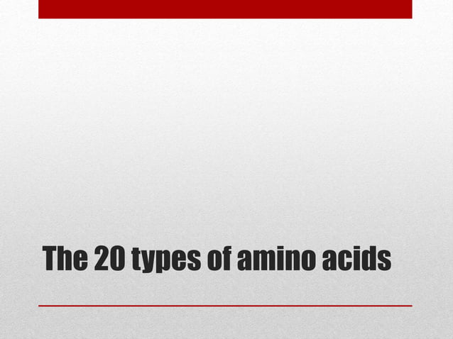 Amino acids | PPT