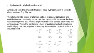 Amino acids (basics) | PPT