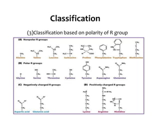 Amino acids ppt |Sumati's Biochemistry| | PPTX