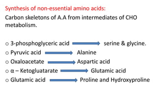 AMINO ACIDS IN BROILERS AND LAYERS | PPTX