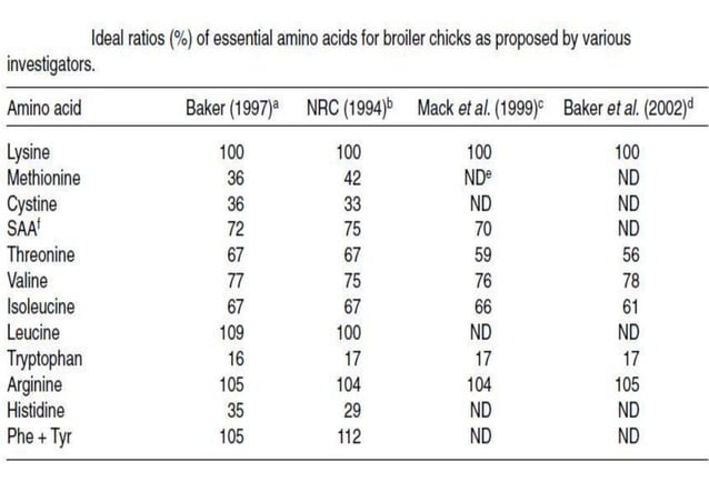 AMINO ACIDS IN BROILERS AND LAYERS | PPTX | Chemistry | Science