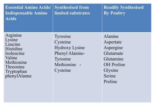 AMINO ACIDS IN BROILERS AND LAYERS | PPTX | Chemistry | Science