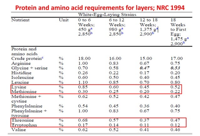 AMINO ACIDS IN BROILERS AND LAYERS | PPTX | Chemistry | Science
