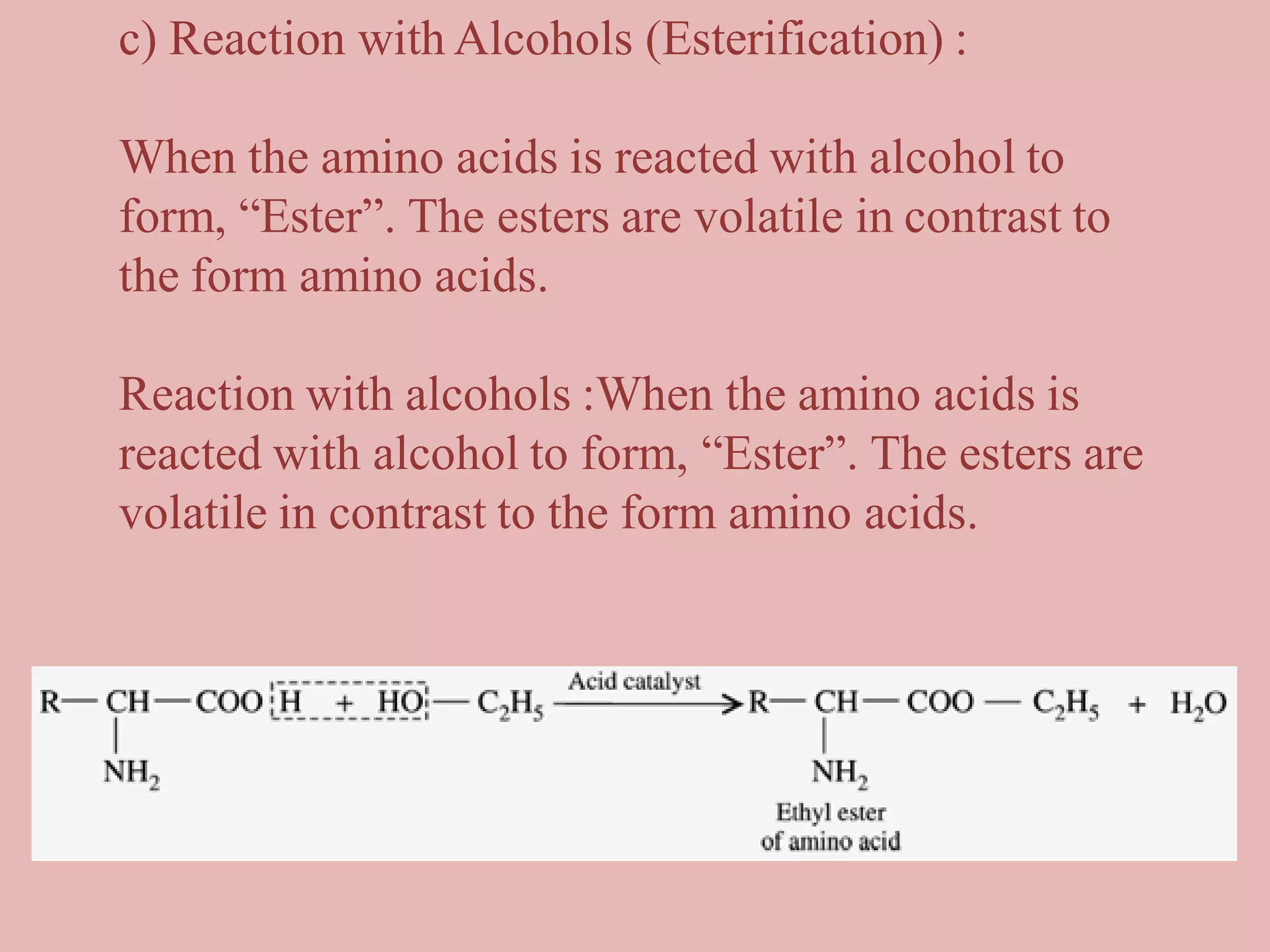 Amino acids | PDF