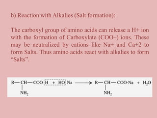 Amino acids | PDF