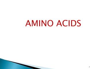 Amino acids | PPTX