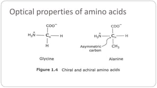 Amino acids | PPT
