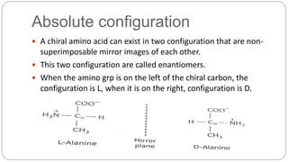 Amino acids | PPT