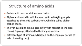 Amino acids | PPTX