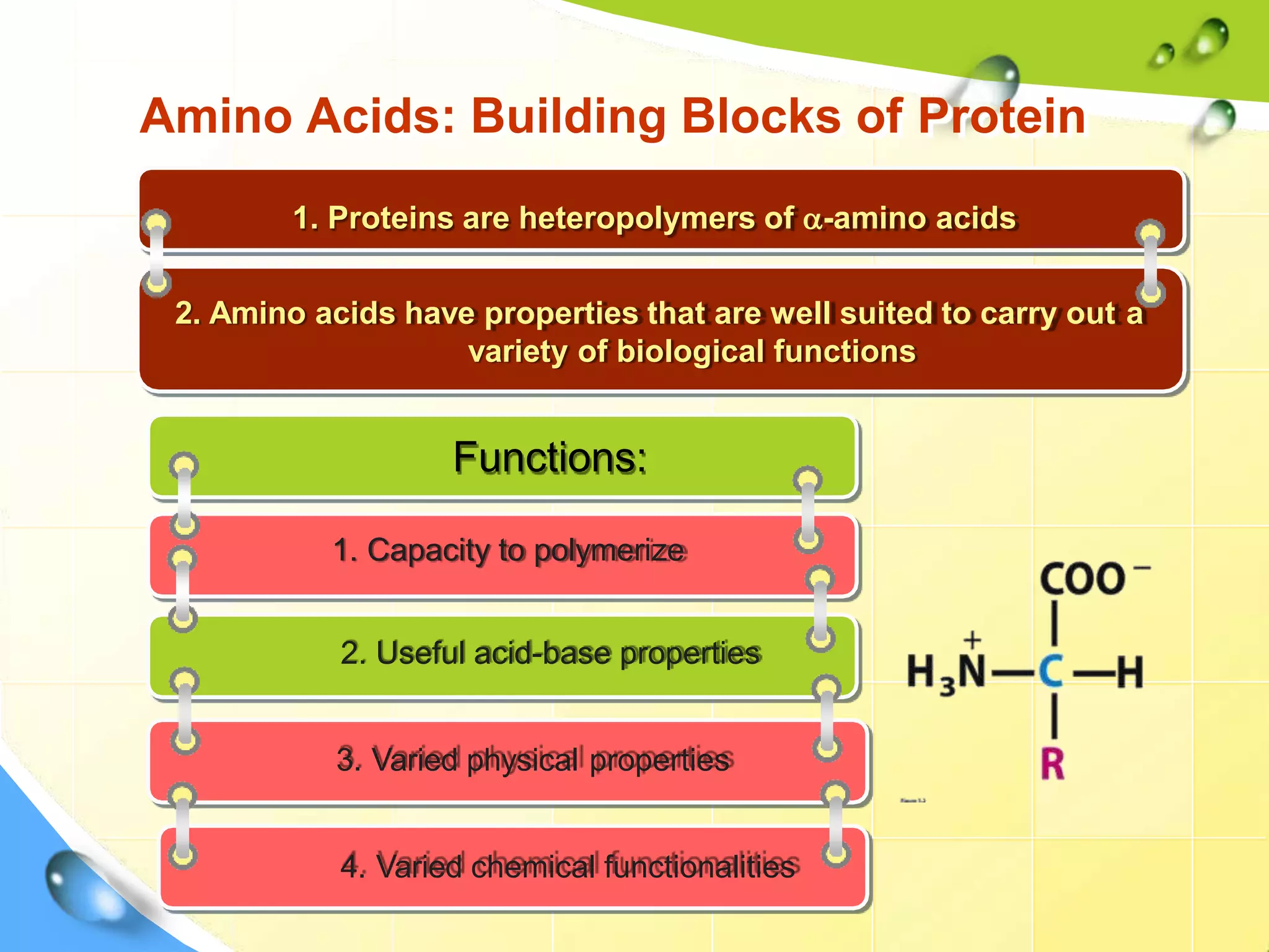 Amino acids | PPT