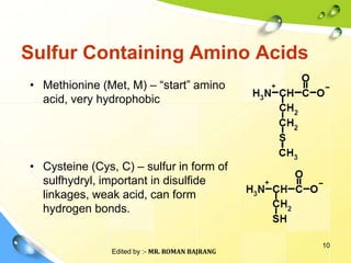 Amino acids | PPTX
