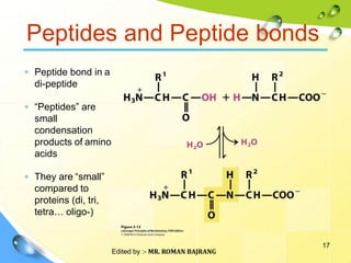 Amino acids | PPT