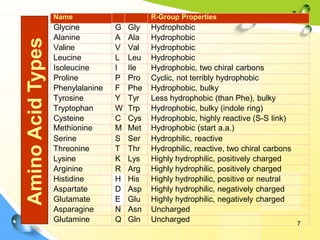 Amino acids | PPTX