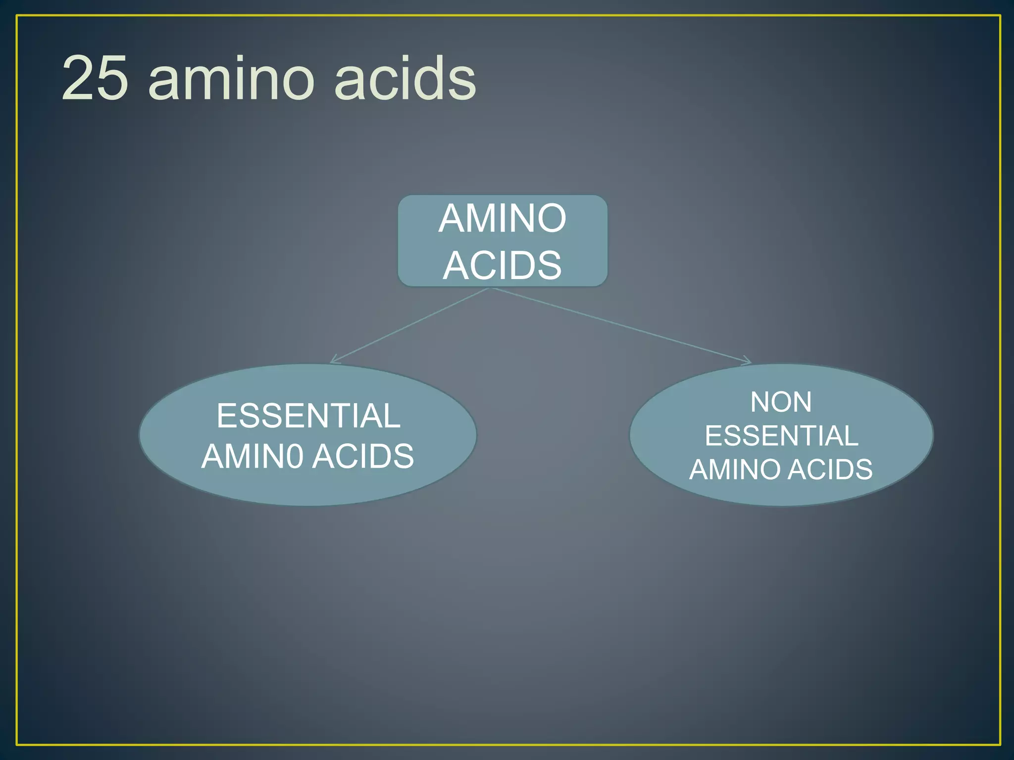 Amino acids | PPT