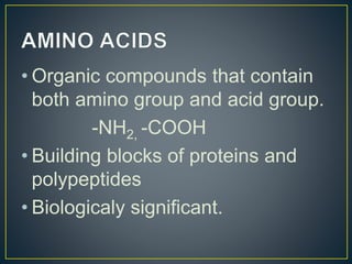 Amino acids | PPT