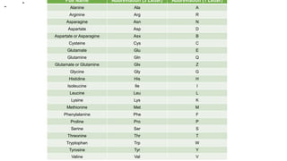 Amino acids | PPTX