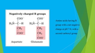 Amino acids | PPT