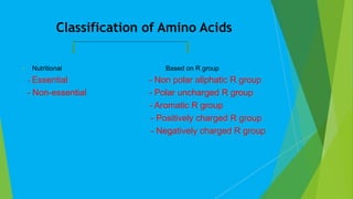 Amino acids | PPT