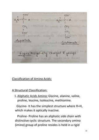Amino Acids.docx