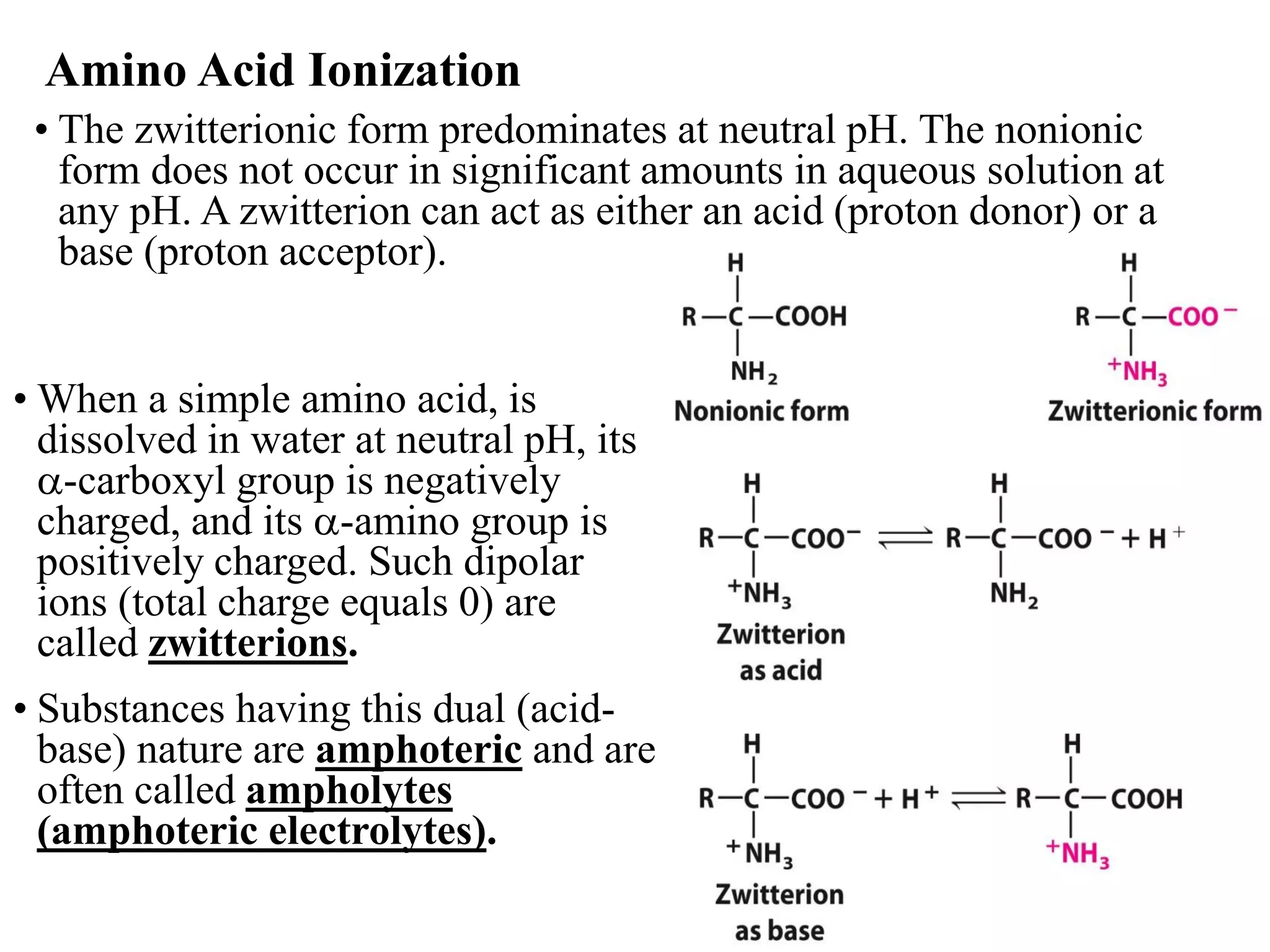 Amino Acids .pdf