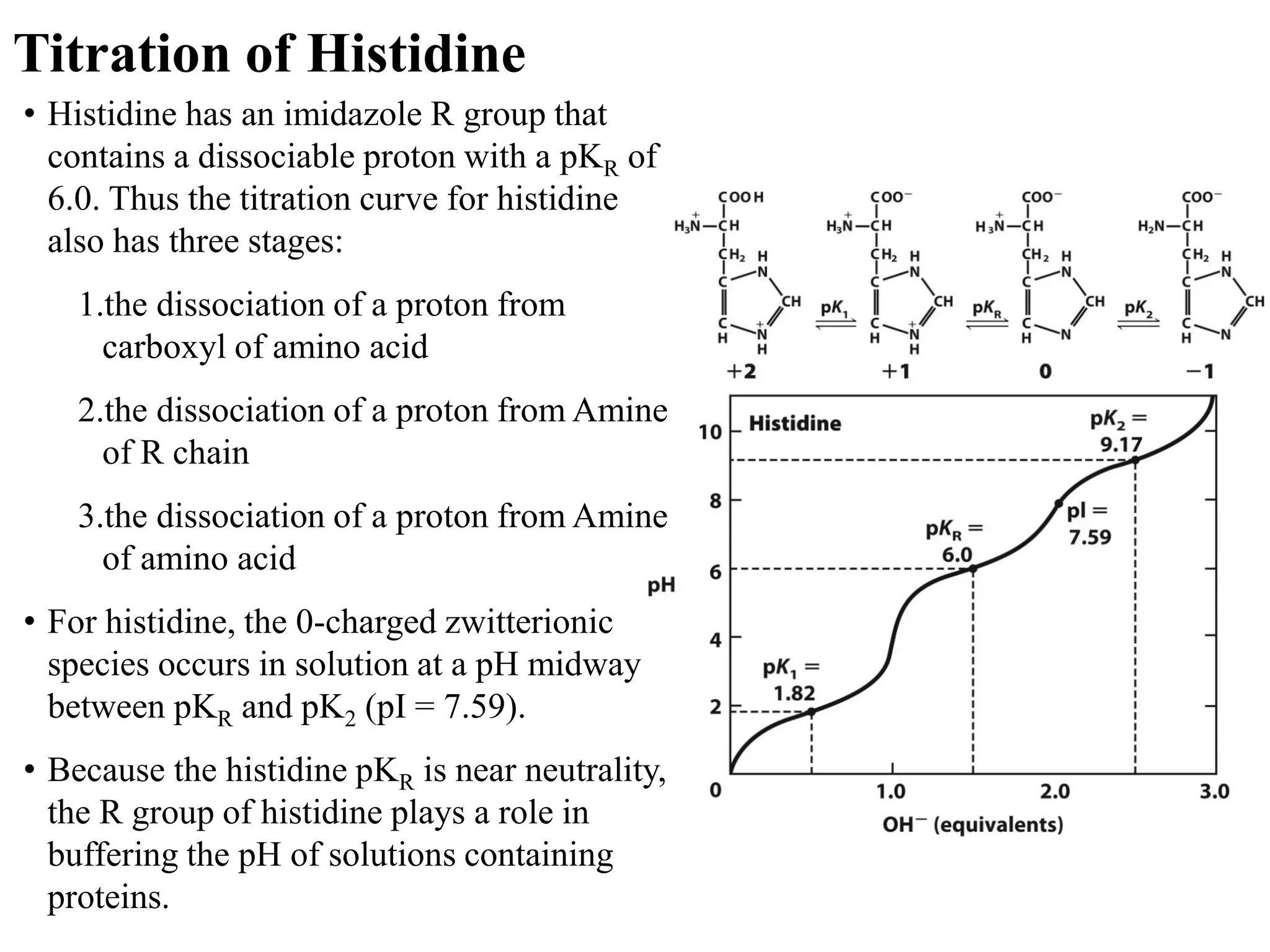 Amino Acids .pdf