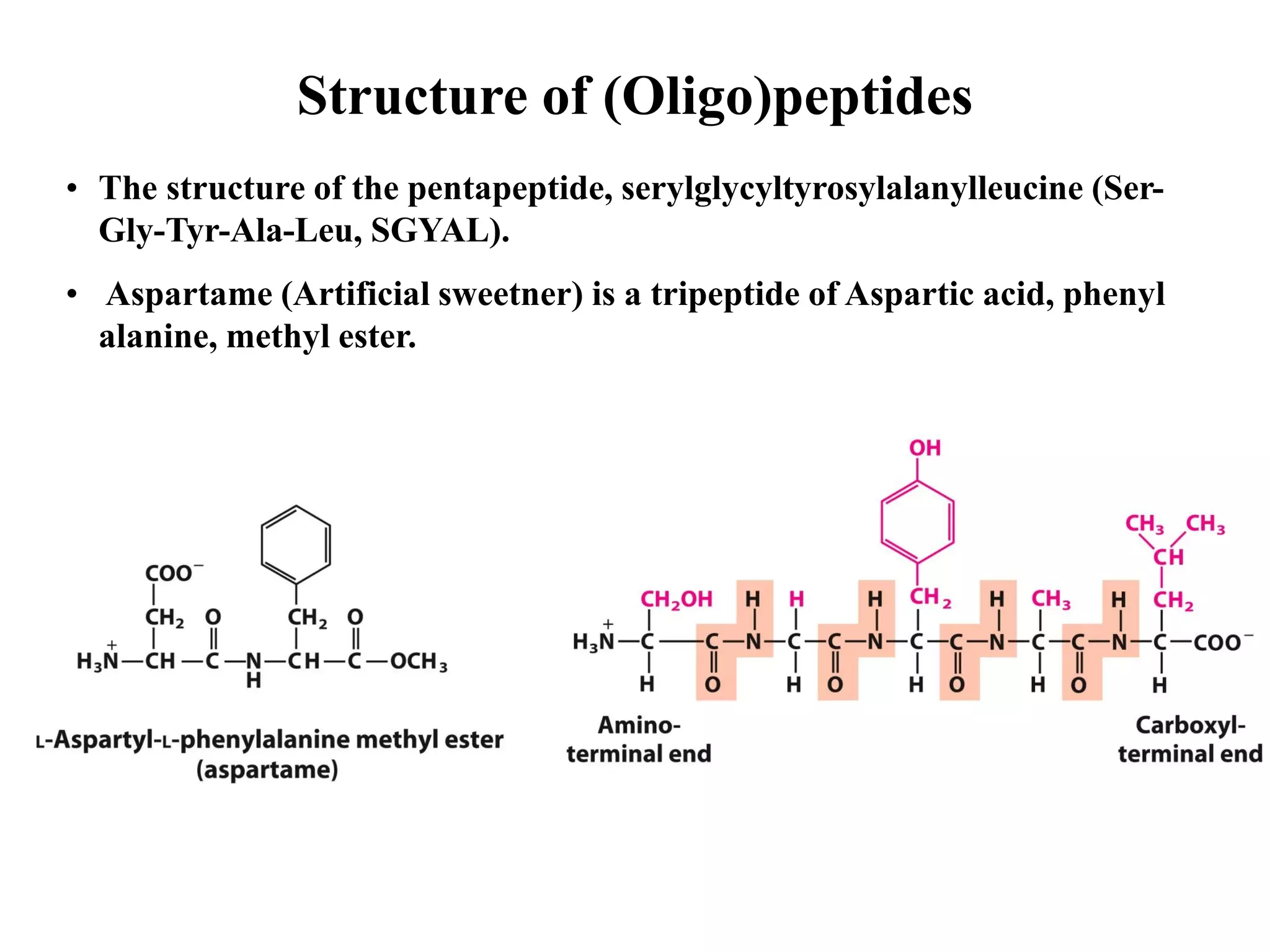 Amino Acids .pdf