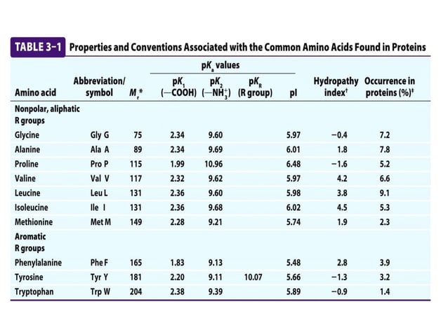 Amino Acids .pdf | Chemistry | Science