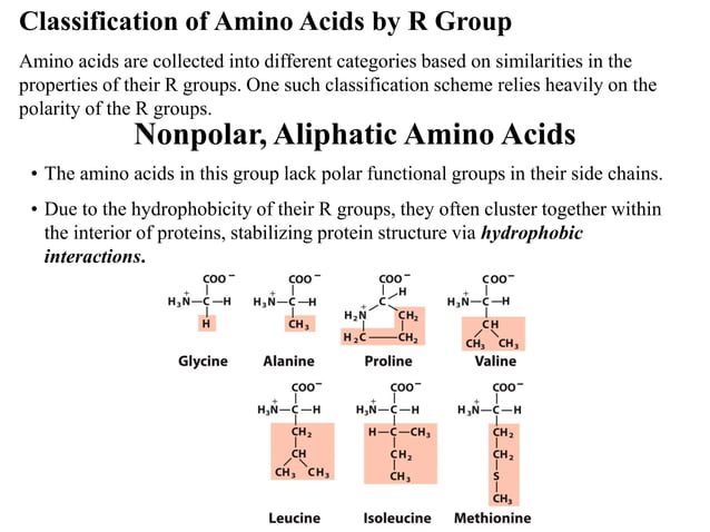 Amino Acids .pdf | Chemistry | Science