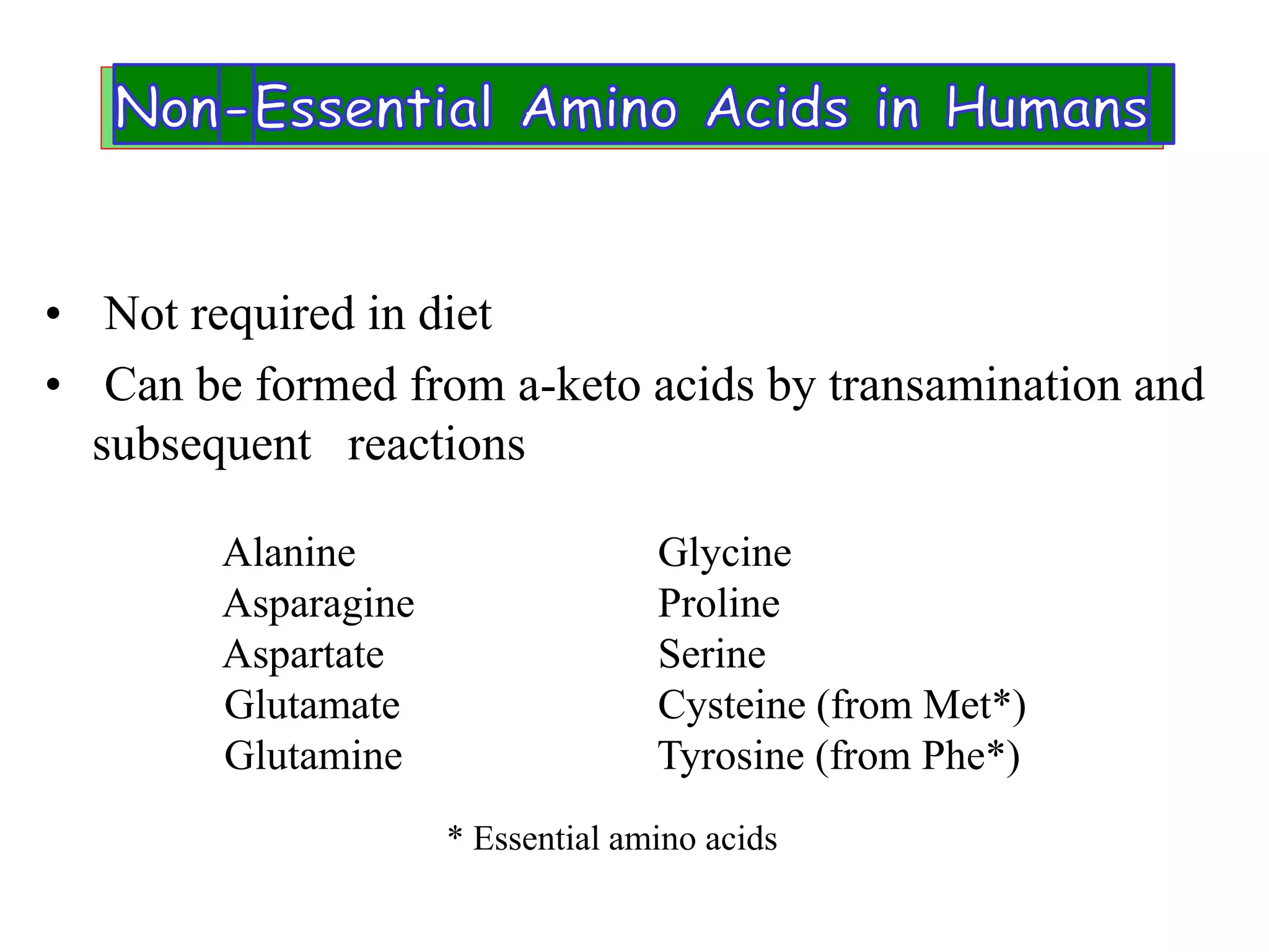 Amino acids.ppt