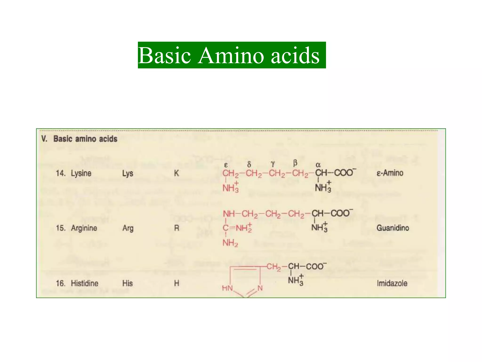 Amino acids.ppt