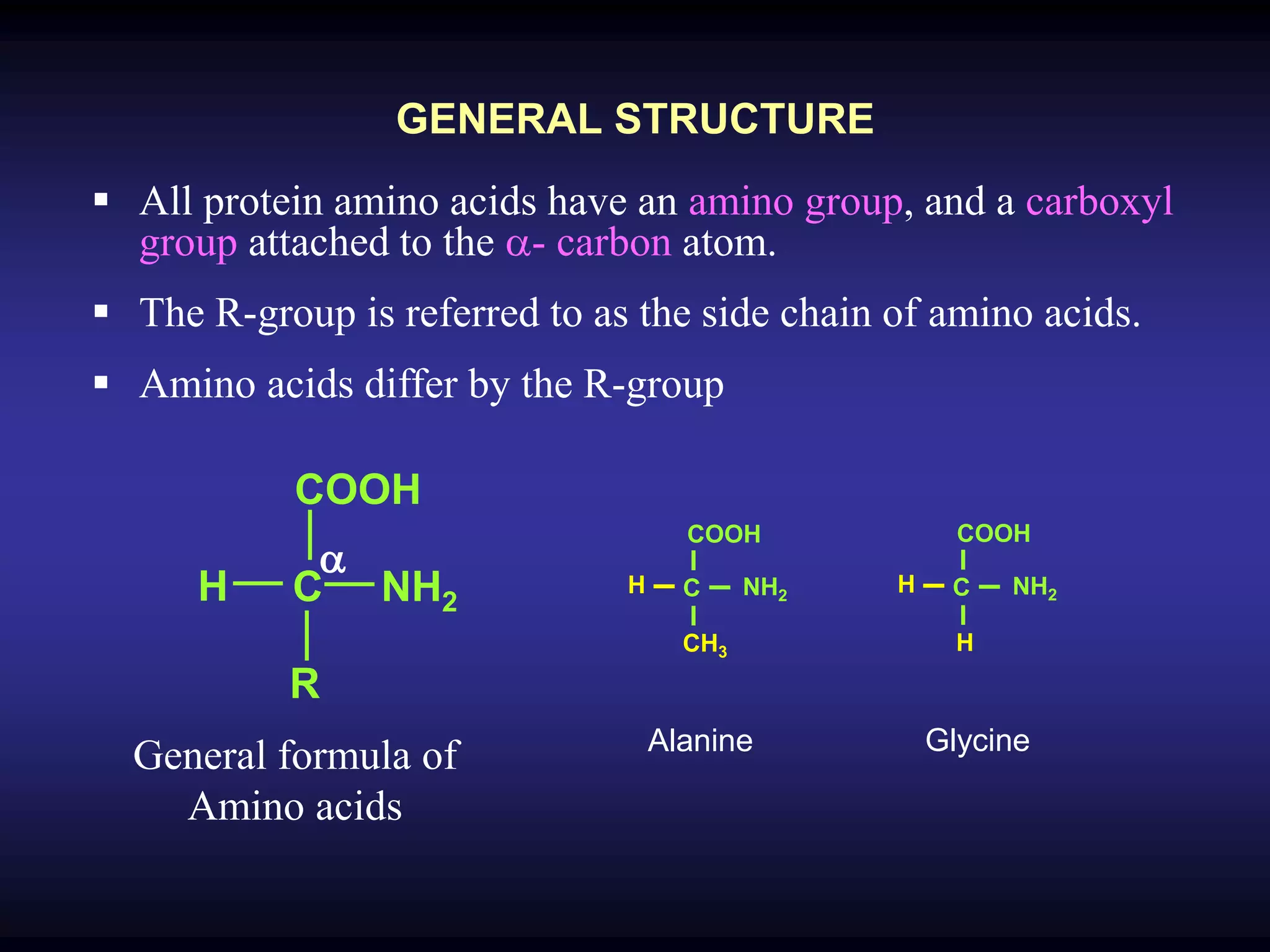 Amino acids.ppt