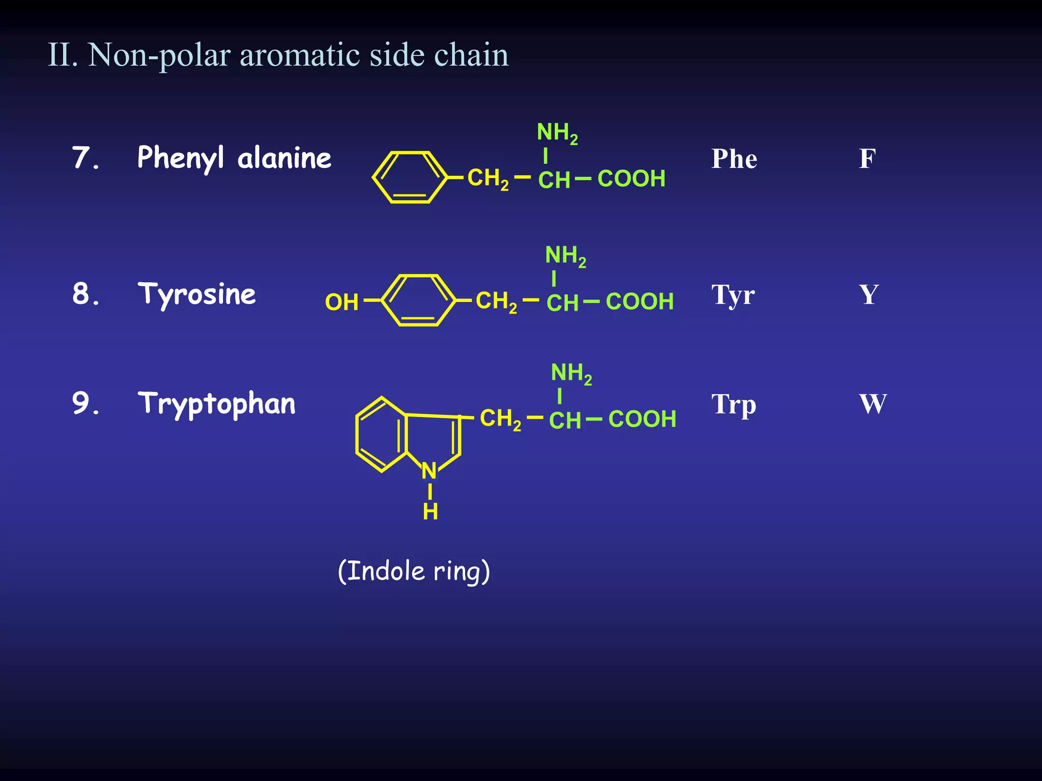 Amino acids.ppt