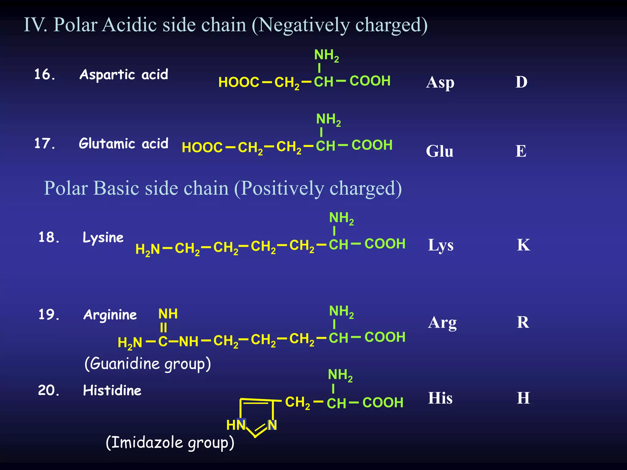 Amino acids.ppt