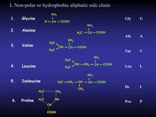 Amino acids.ppt