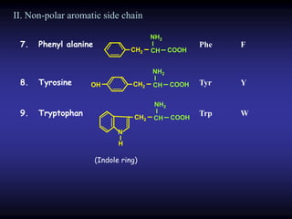 Amino acids.ppt