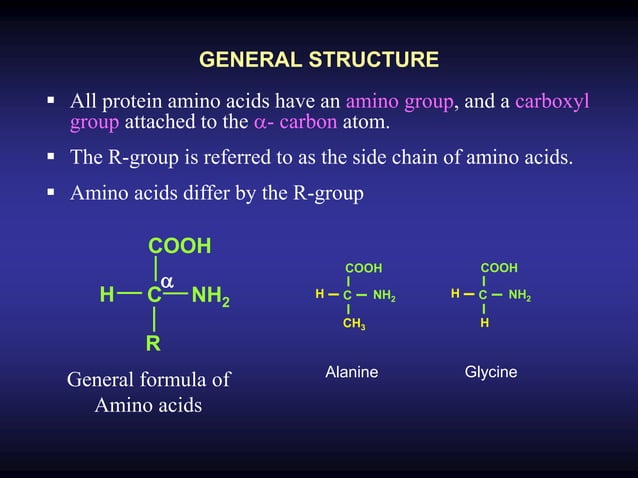 Amino Acidsppt