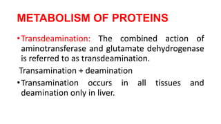 AMINO ACIDS.pptx | Digestive Disorders | Diseases and Conditions