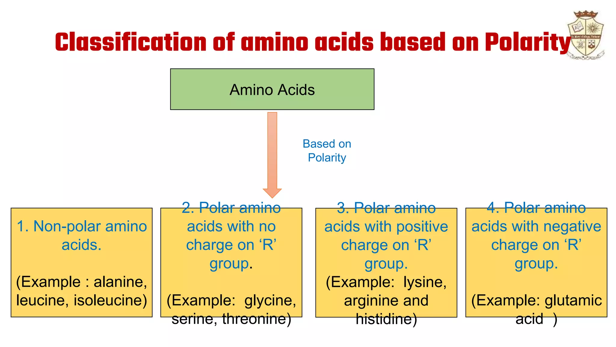 Amino Acids.pptx