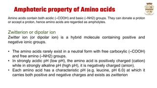 Amino Acids.pptx